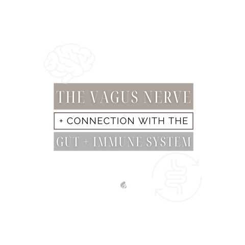 What You Need to Know About Vagus Nerve Dysfunction - First Steps ...