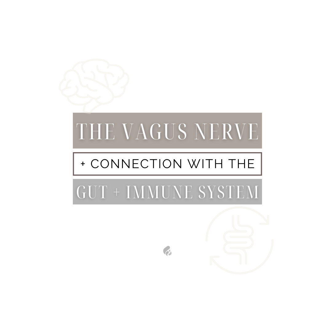 What You Need to Know About Vagus Nerve Dysfunction - First Steps ...