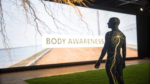 A Deep Dive into Proprioception and Sensory Processing - First Steps ...